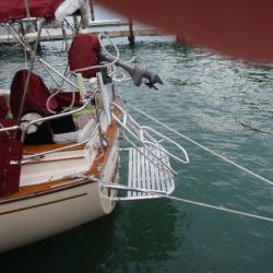 Folding Swim Platform